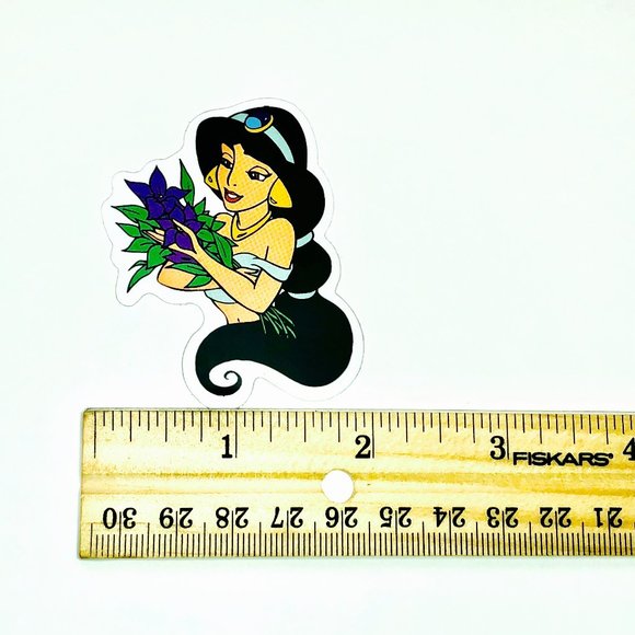 Other | Princess Vinyl Decal Stickers Aladin Princess Jasmine Magic ...